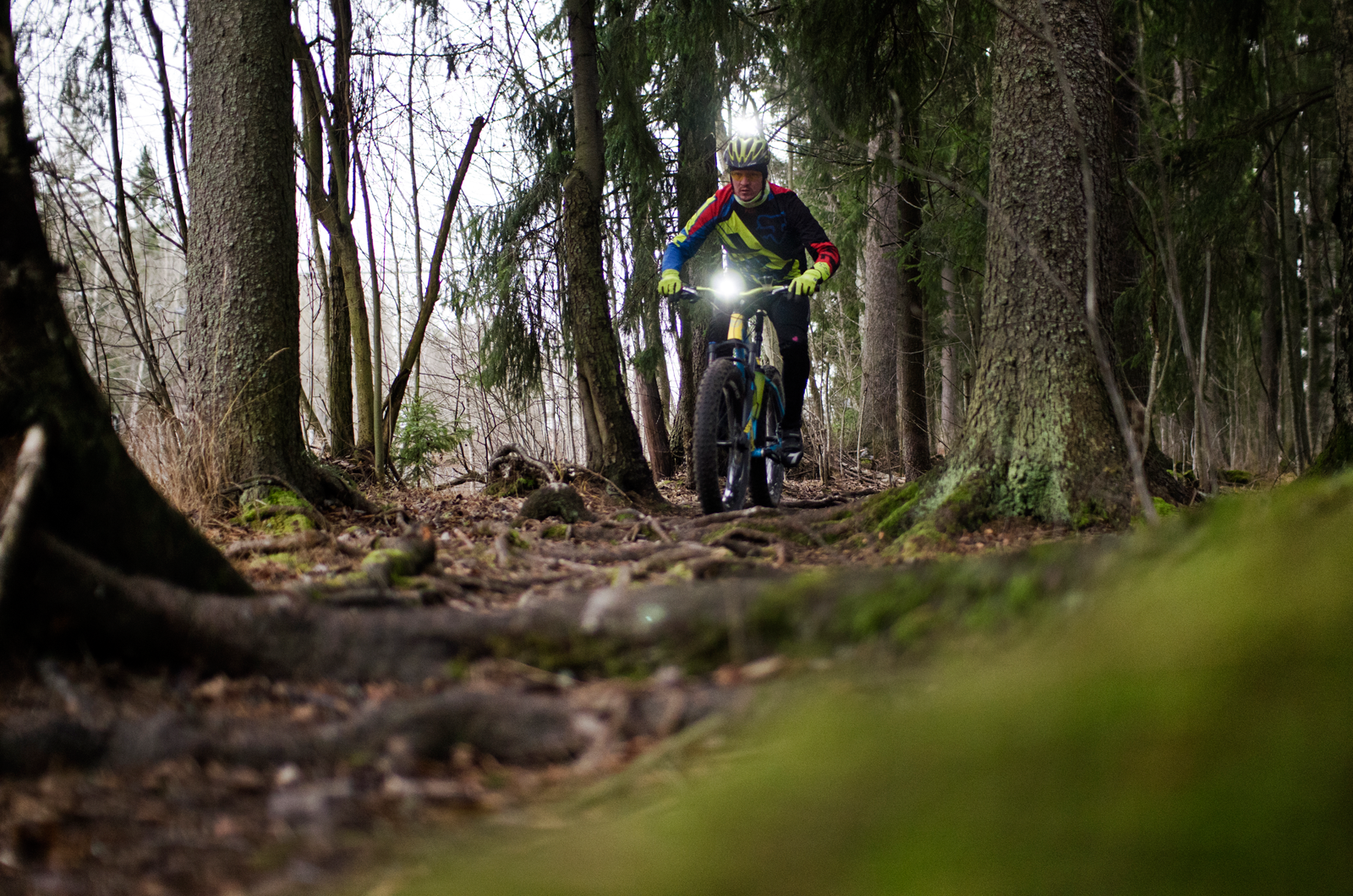 Hemmon Kuvat & Fillarihemmo: Felt DD10 2017