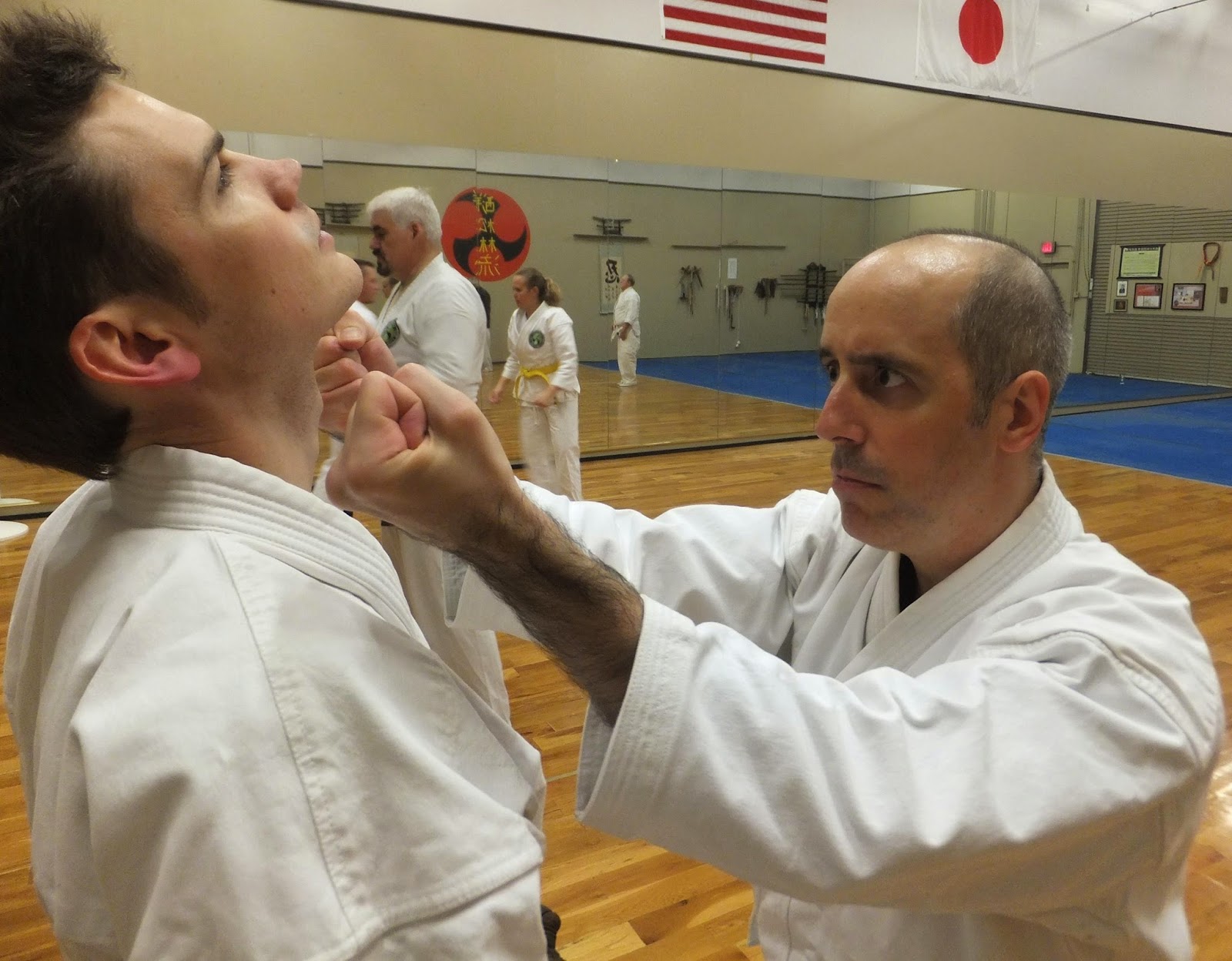 KARATE & KOBUDO KATA - Living Encyclopedias of Self-Defense: Meikyo and ...