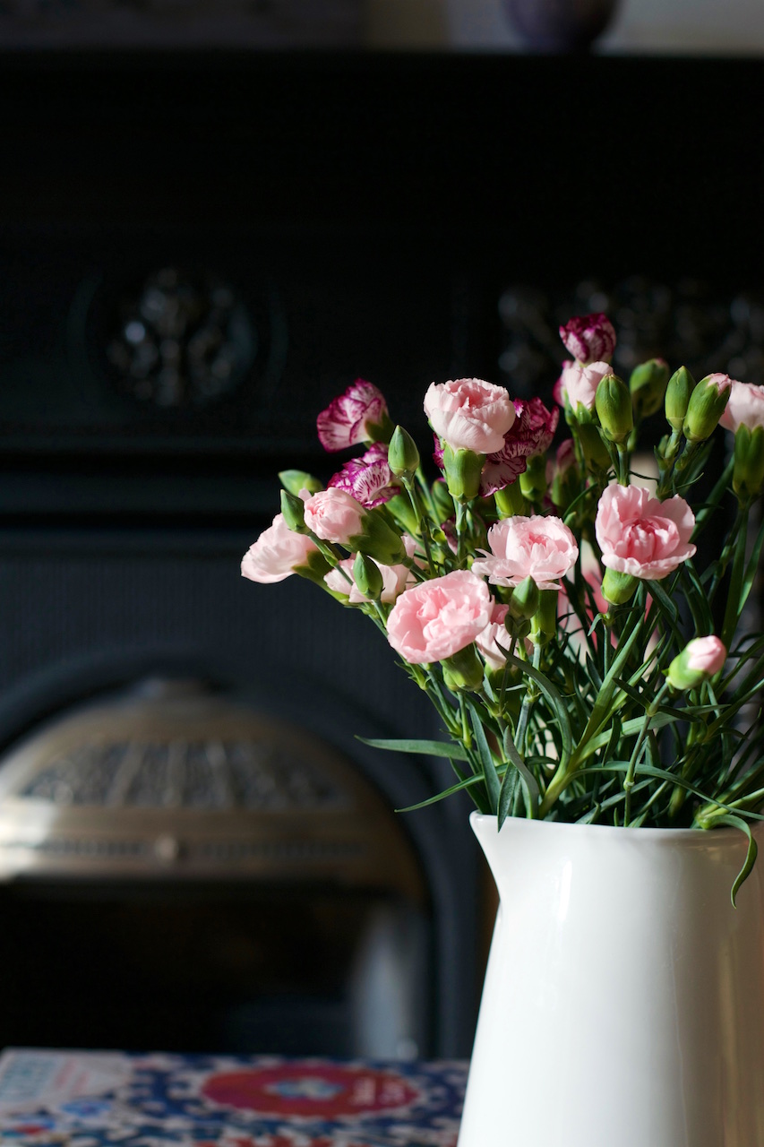 Lunch & Latte: carnations in winter