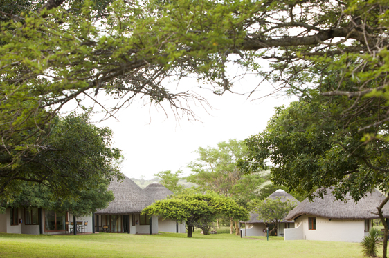 Ubizane Wildlife Reserve: Ubizane - Zululand Tree Lodge and Safari Lodge