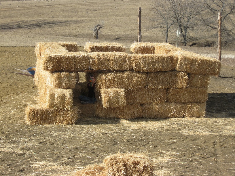 The Lehrmans: Building with Straw!