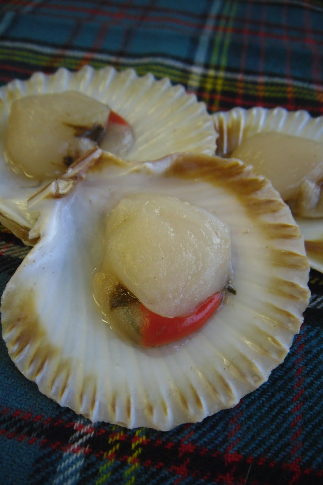 a peedie taste of Orkney