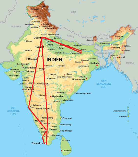Skov i Indien