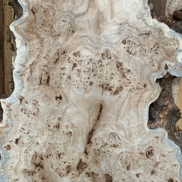 Tropical Exotic Hardwoods: Mappa Burl!