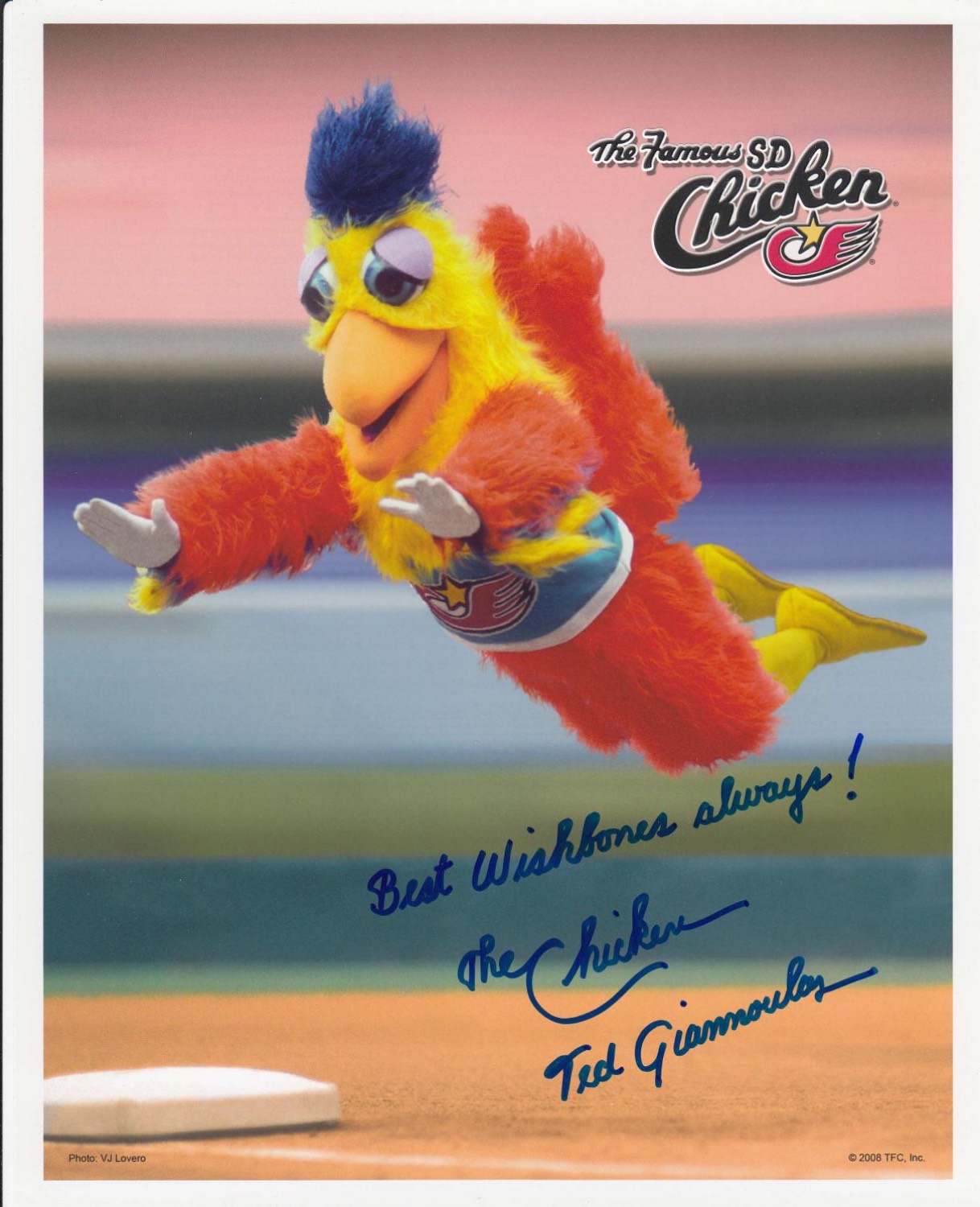 The Chronicles of Fuji: June 2016