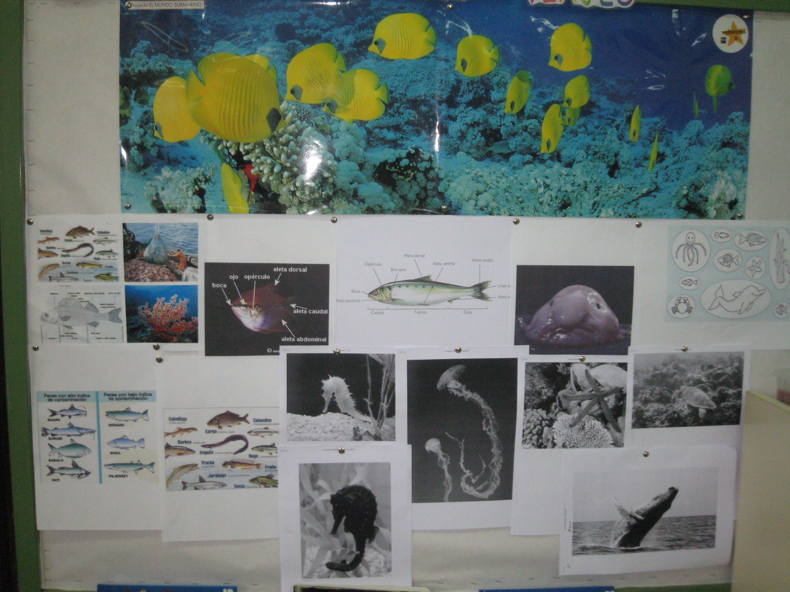 LA CLASE ENCANTADA: 08 enero 2012