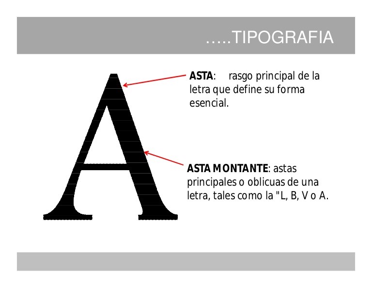 Matias Alvarez: Actividad 2 - Anatomía de la Tipografía.