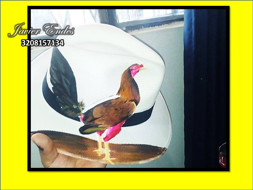 Tutorial paso a paso Sombrero Pintado Gallo