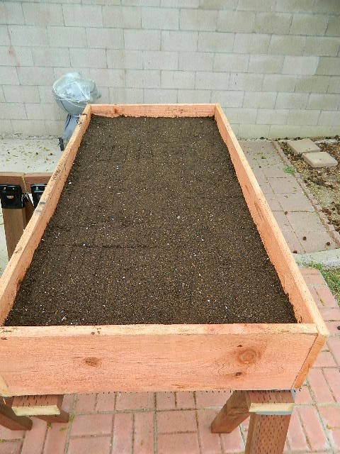 Pushing the Rose Envelope: Seedling tables