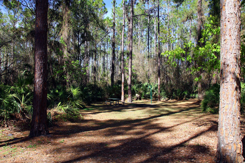 OFFWEGO!: A Week at Florida's Rodman Reservoir Campground