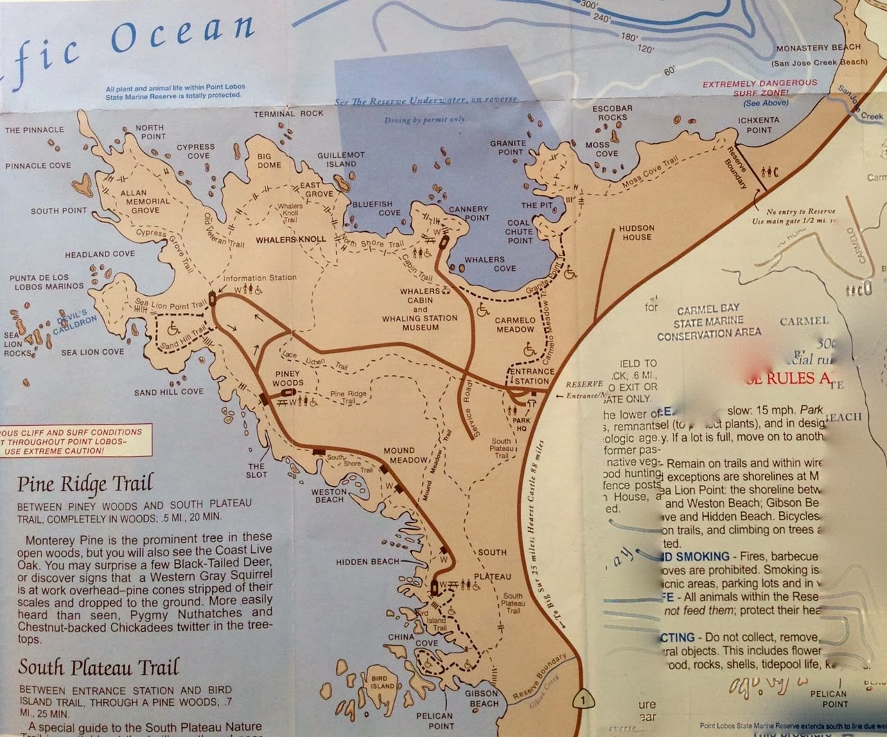 VAI NA MINHA: Carmel Monterey Point Lobos