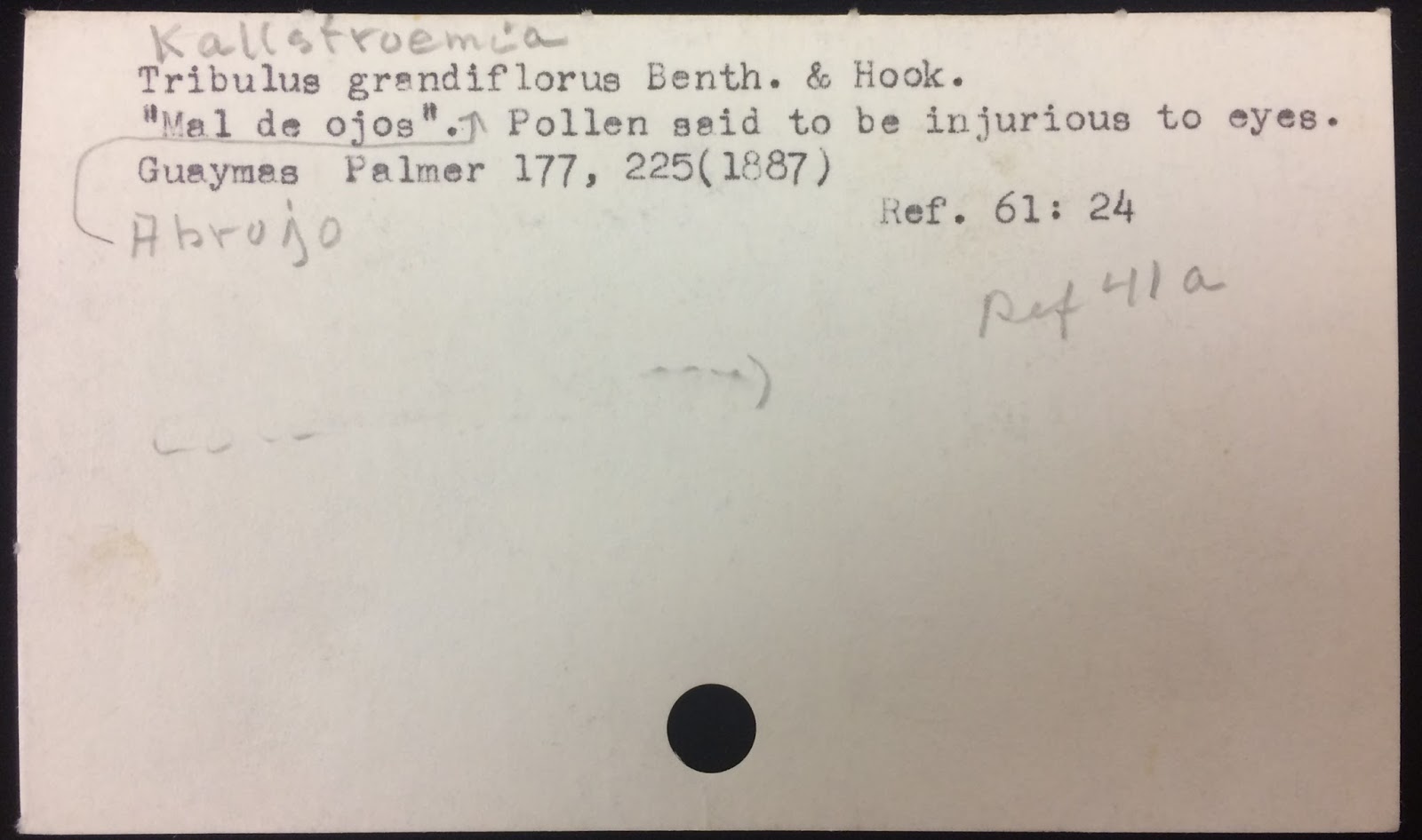 Smithsonian Collections Blog: Tribulus Troubles: Wildflowers in the ...