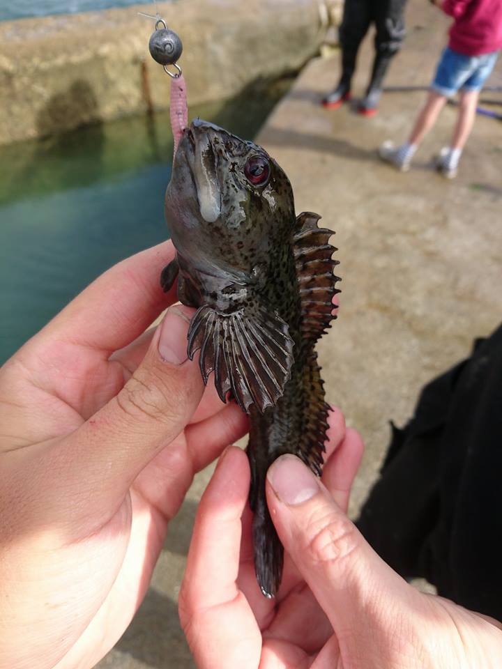 Ben Bassett - Fishing: Saluting The Shanny