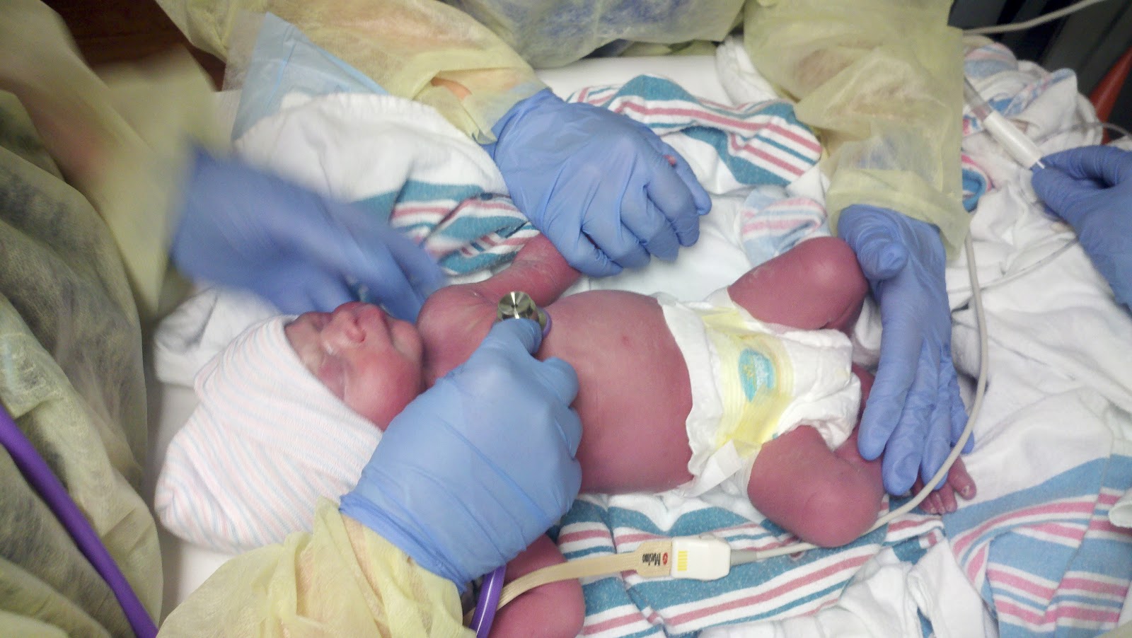 Our Berry Amazing Journey