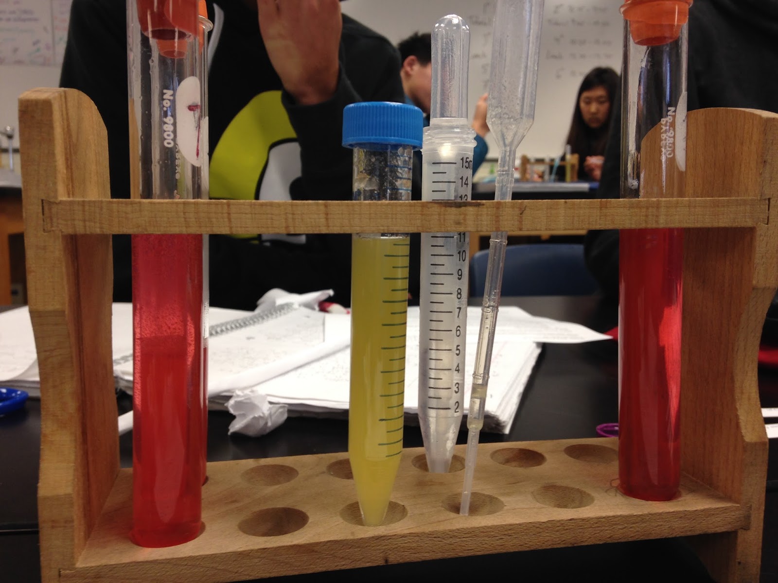 Joshua's Biology Blog: DNA Extraction Lab Conclusion