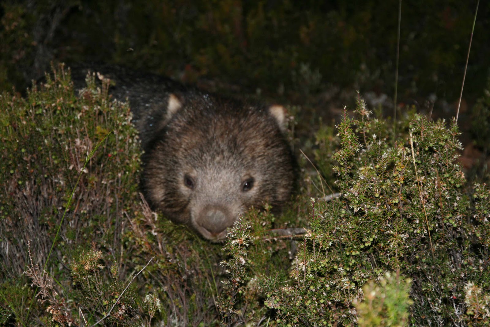 Exploring education: January 2012