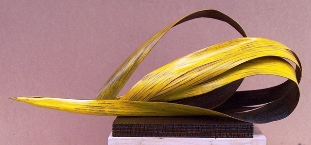 INEDIT: Esculturas de hojas de Pambil