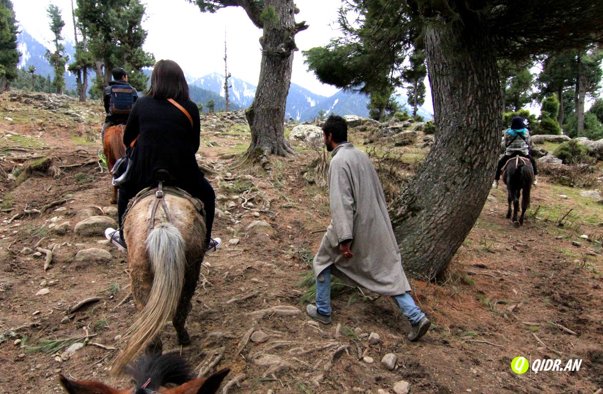 qidr.an ©: Kashmir 2014 | Day 3 Pahalgam : Pony ride