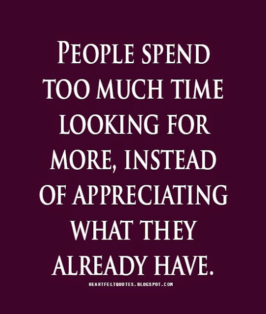 People spend too much time looking for more, instead of appreciating ...