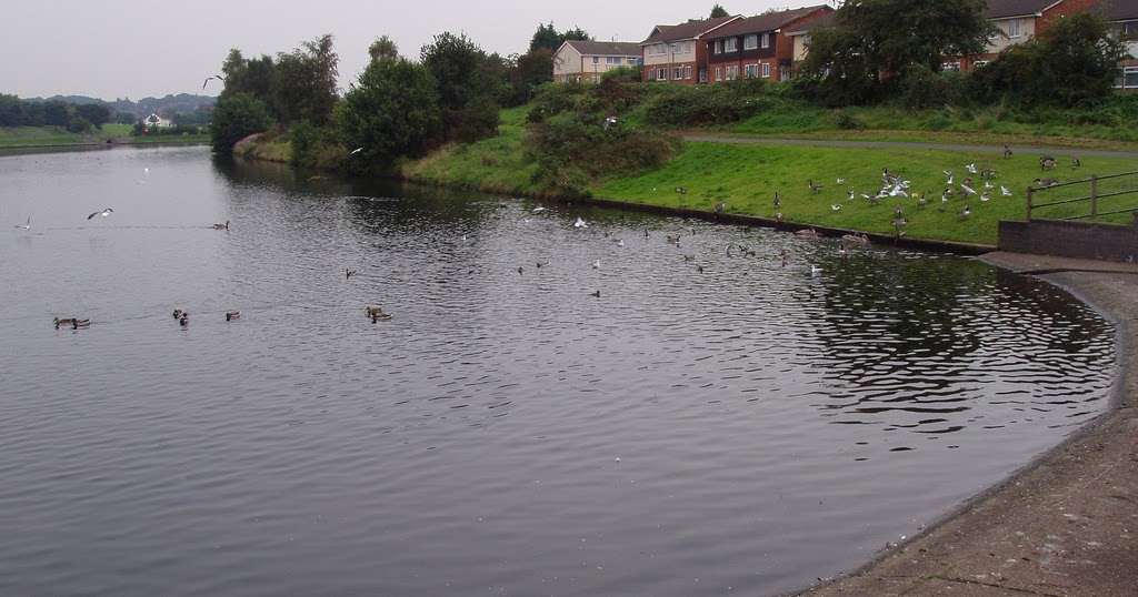 British Waterway Photos: Lakes (2) : Witton Lakes