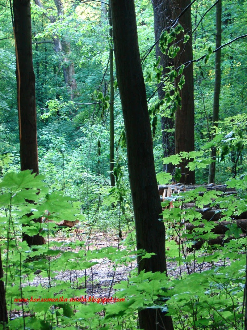 Anula bloguje... testy, opinie, medycyna, kulinaria i inne kreatywności ...