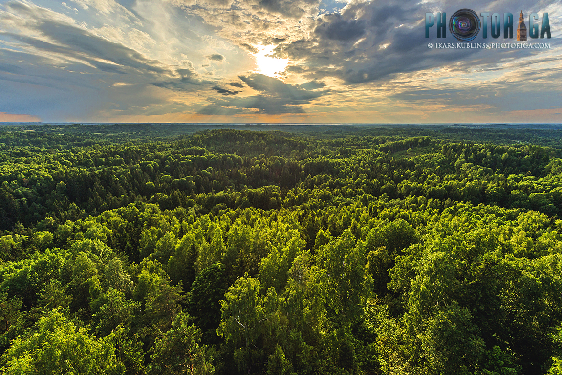View from Lielais Liepu hill observation tower - Photoplaces