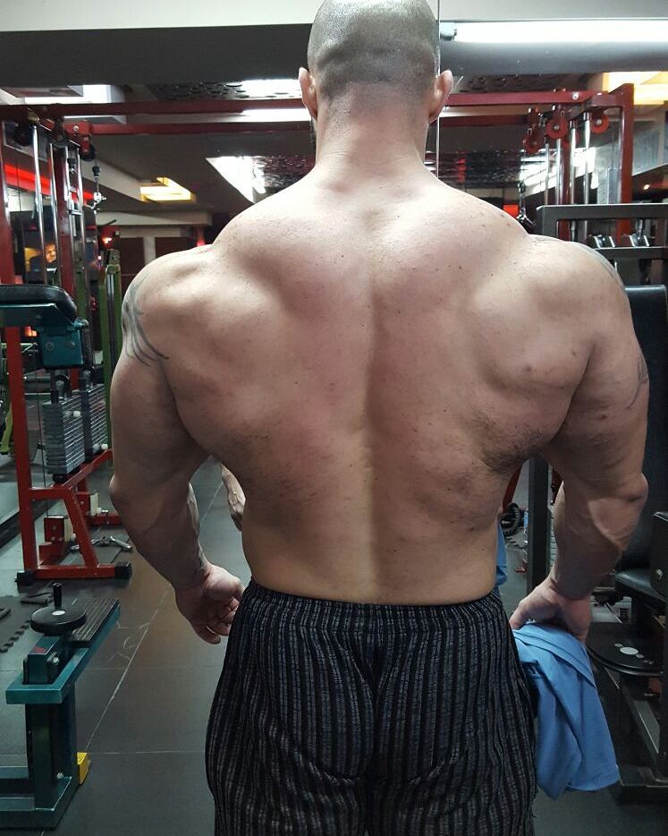 Muscle Lover: Albanian bodybuilder Kreshnik Topore (2)