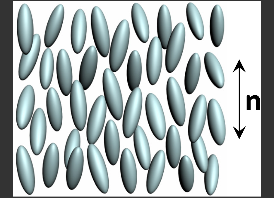 Animated Demonstration of Liquid Crystals Properties: Director ...