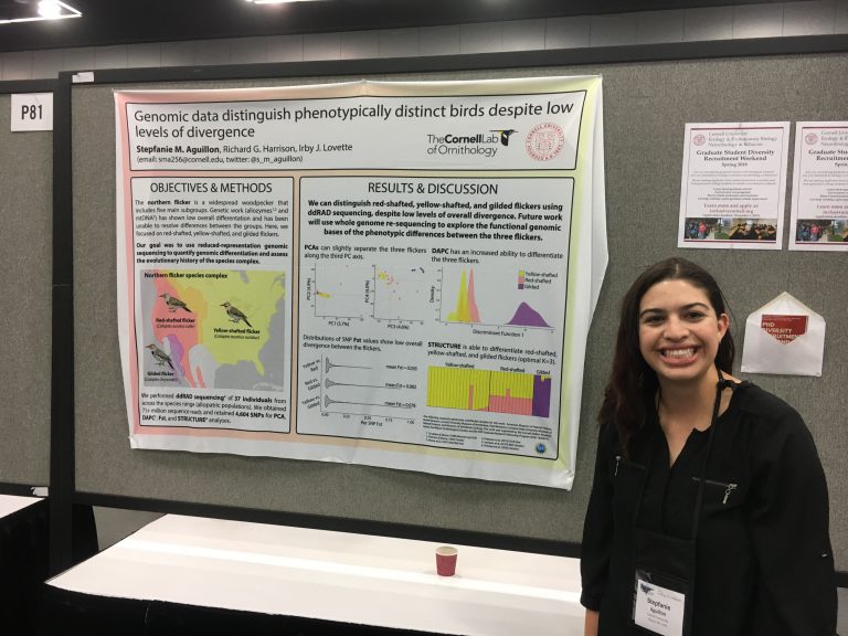 Better Posters: Critique and makeover: How to recognize birds