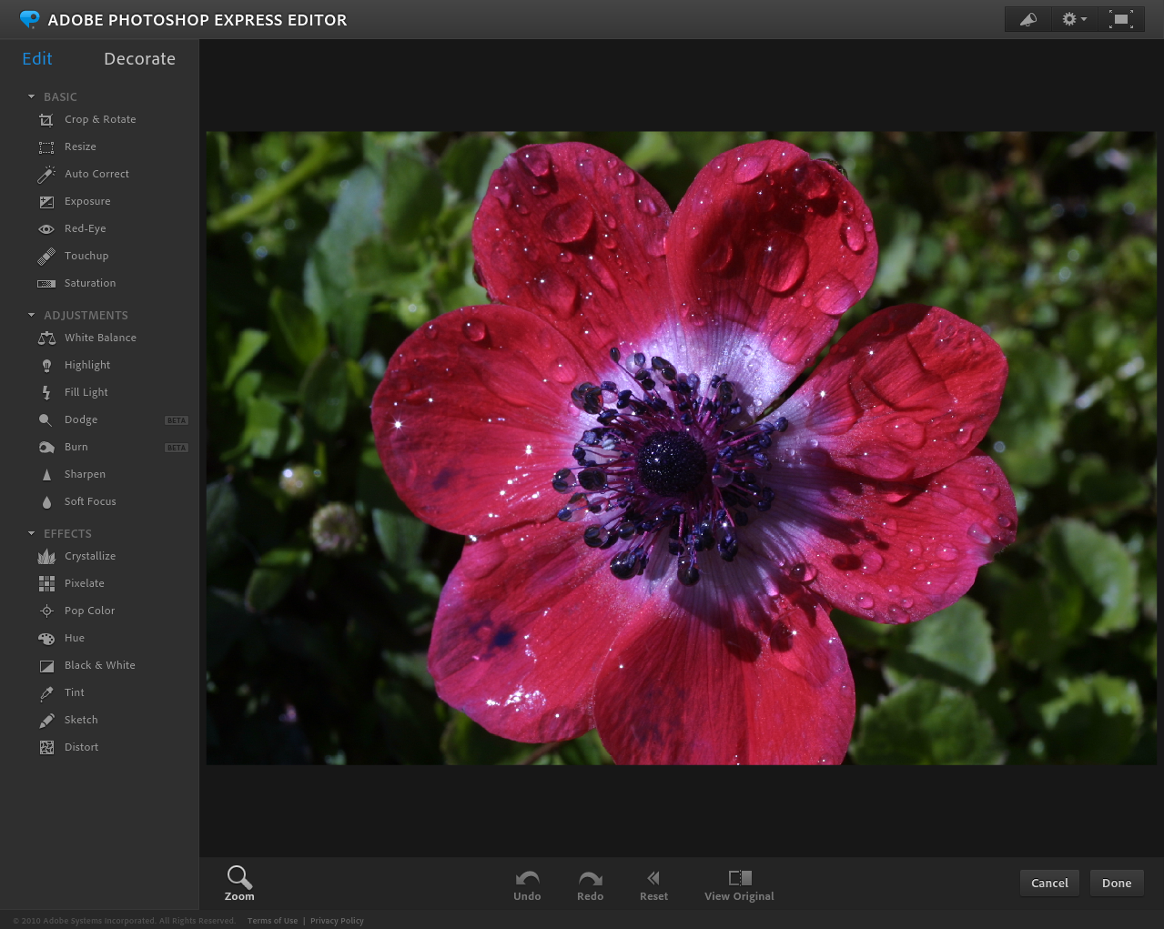 Photoshop Express Editor: Photoshop en la nube