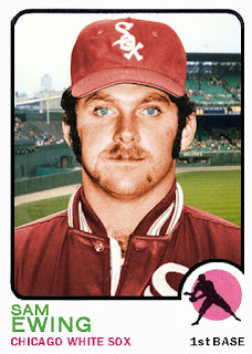 1973 Topps Baseball Card Update Series: 1973 Chicago White Sox - 77-85 ...