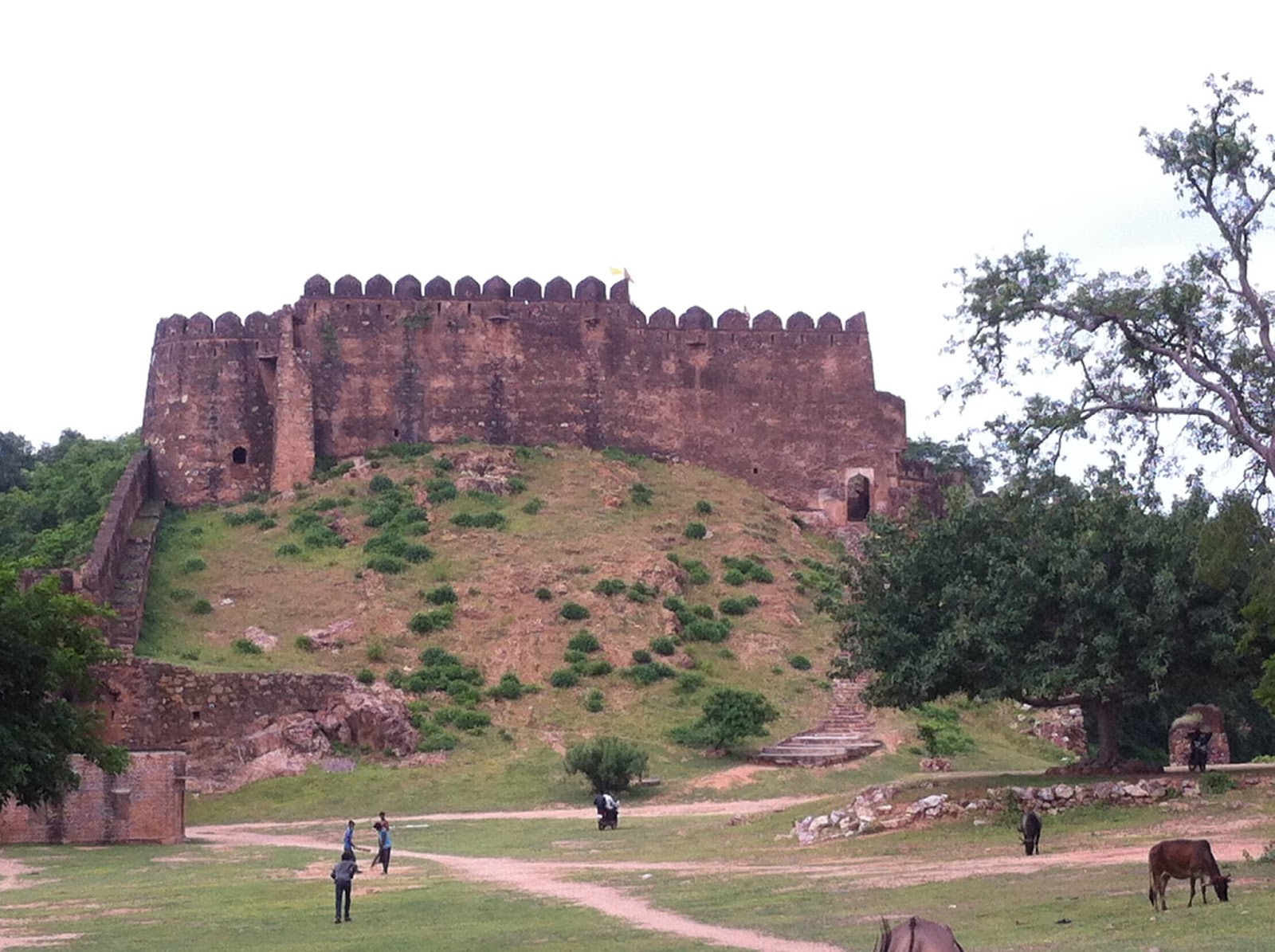 nakul rana: FORGOTTEN 1857 REVOLUTION BRAVEHEART MAHARAJA MARDAN SINGH ...