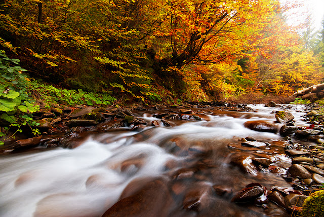 WATERCOURSE by Pranada Comtois