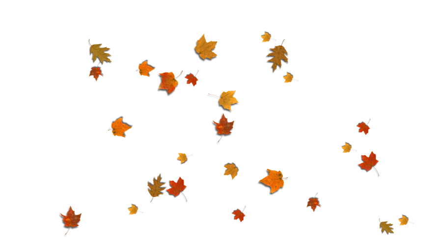 Leaves Falling Transparent Gif / falling red leaves, autumn - PicMix ...