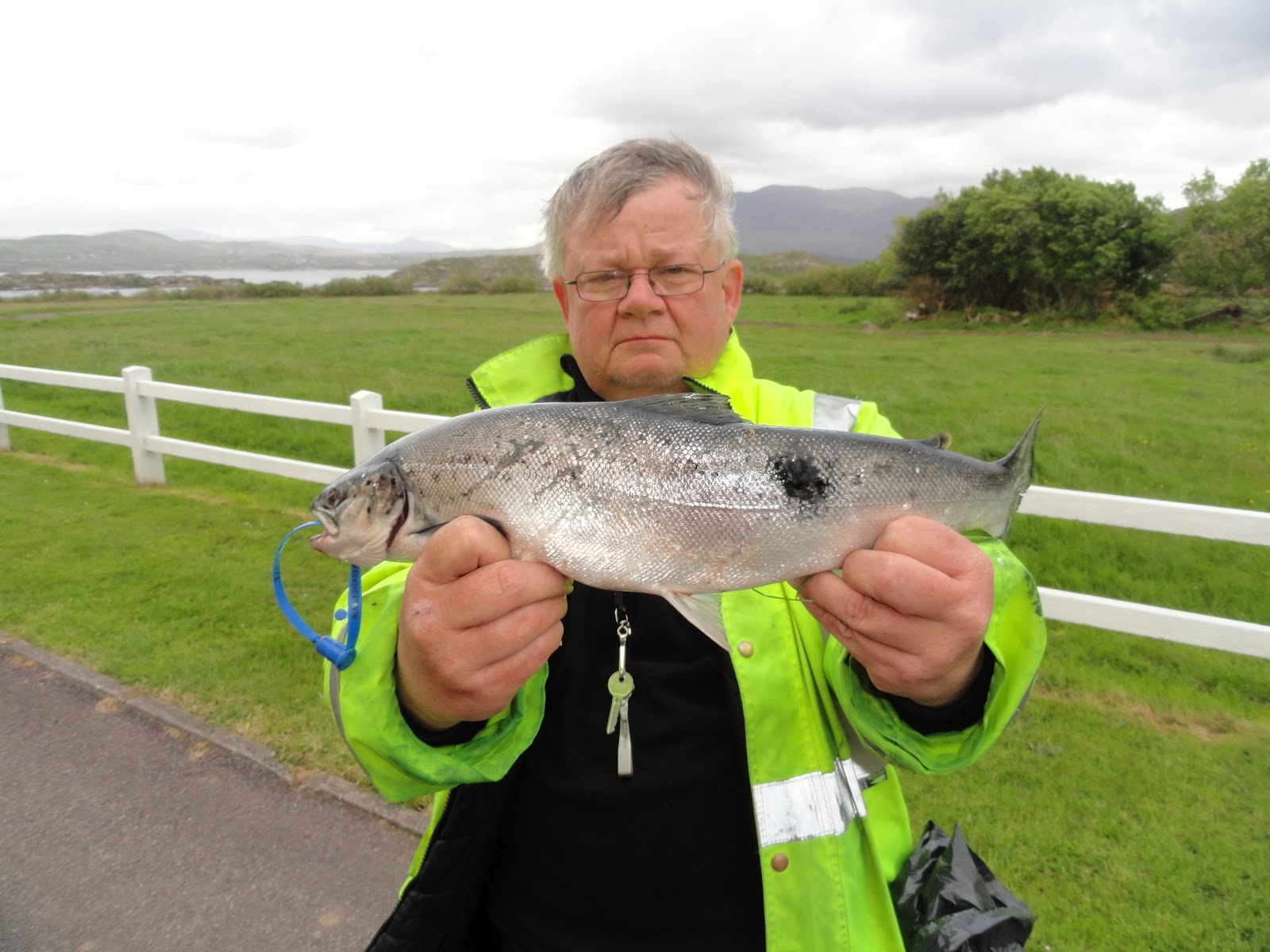 Salmon and Sea Trout