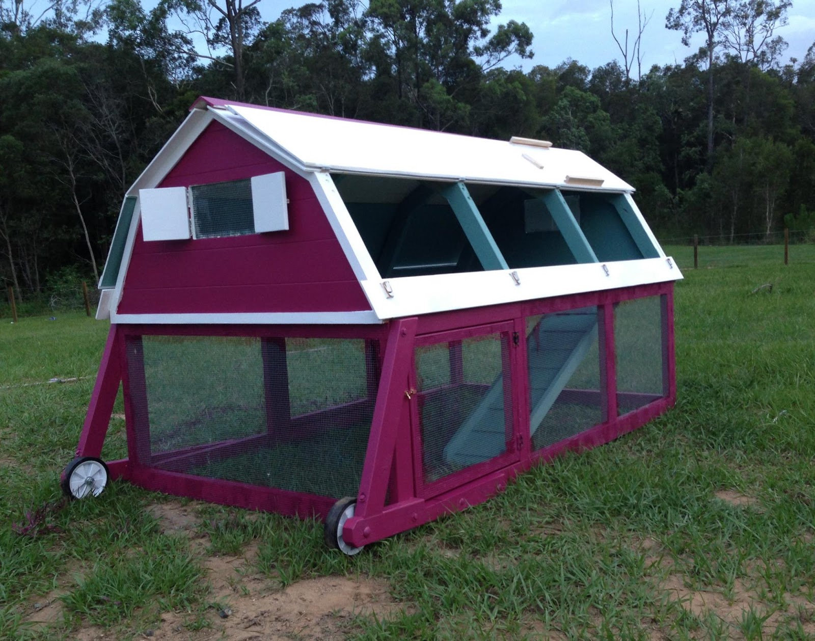 All Things Guinea Pig: Caviary Setup