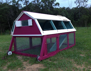 All Things Guinea Pig: Caviary Setup