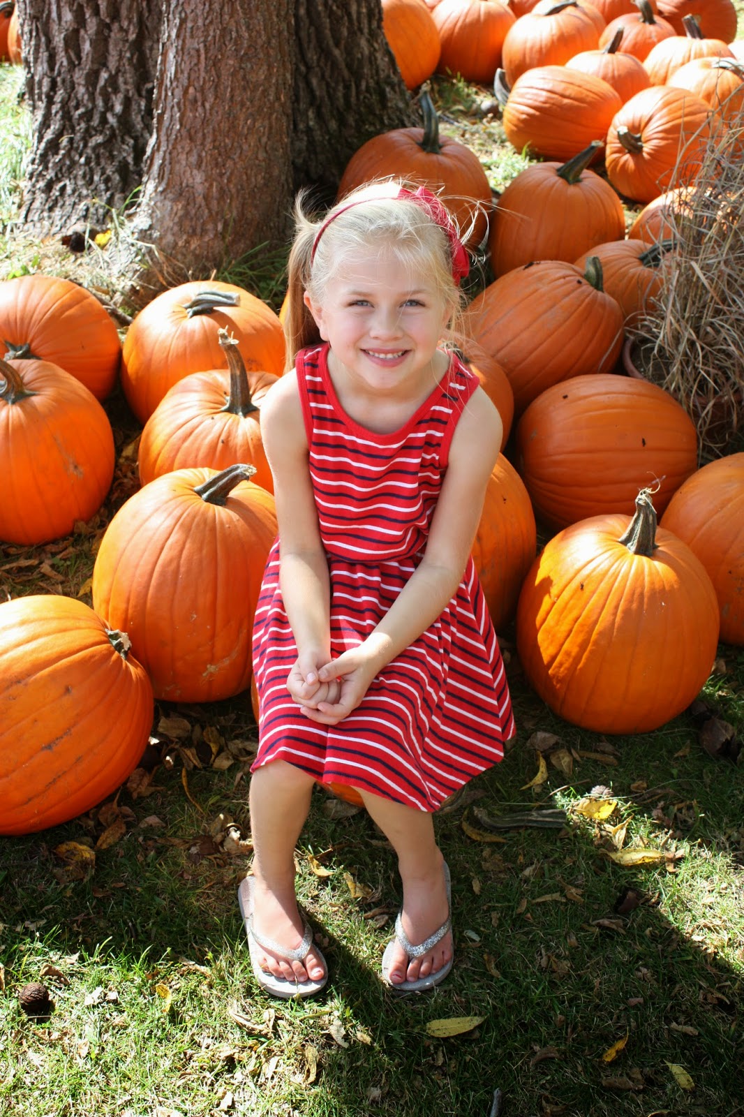 Keeping up with the Stenzels