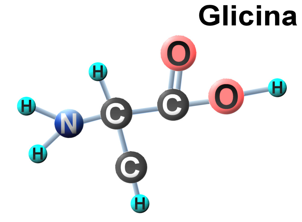 Biología 2 de Bachillerato: Glicina