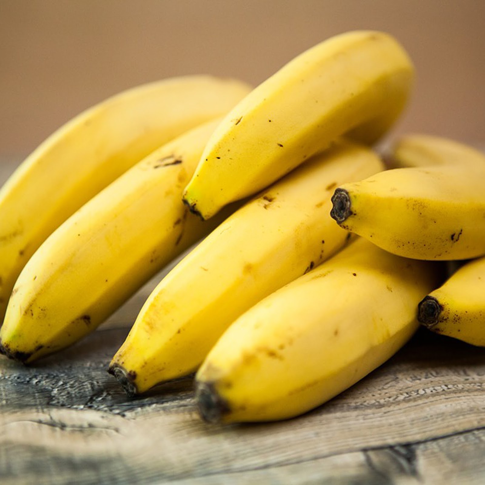 lakatan - philippin news collections