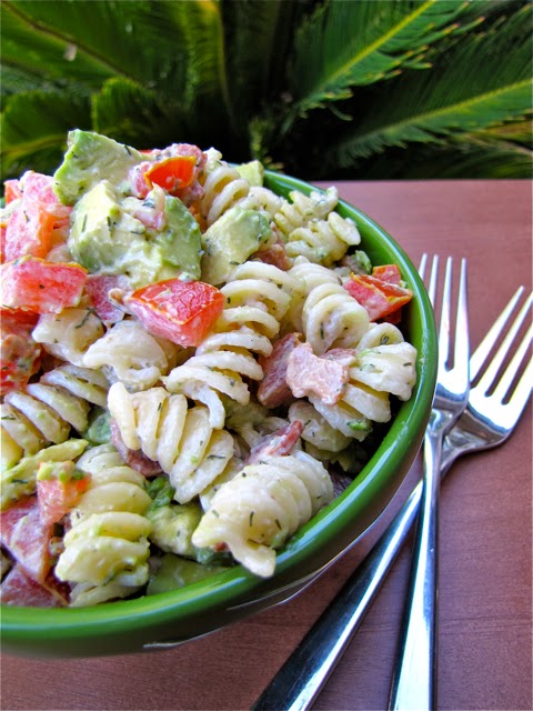 Delicious Food Recipes