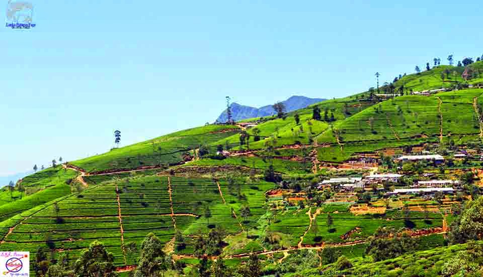 Lanka Pictures Page: Sri Lanka Beautiful Places 18