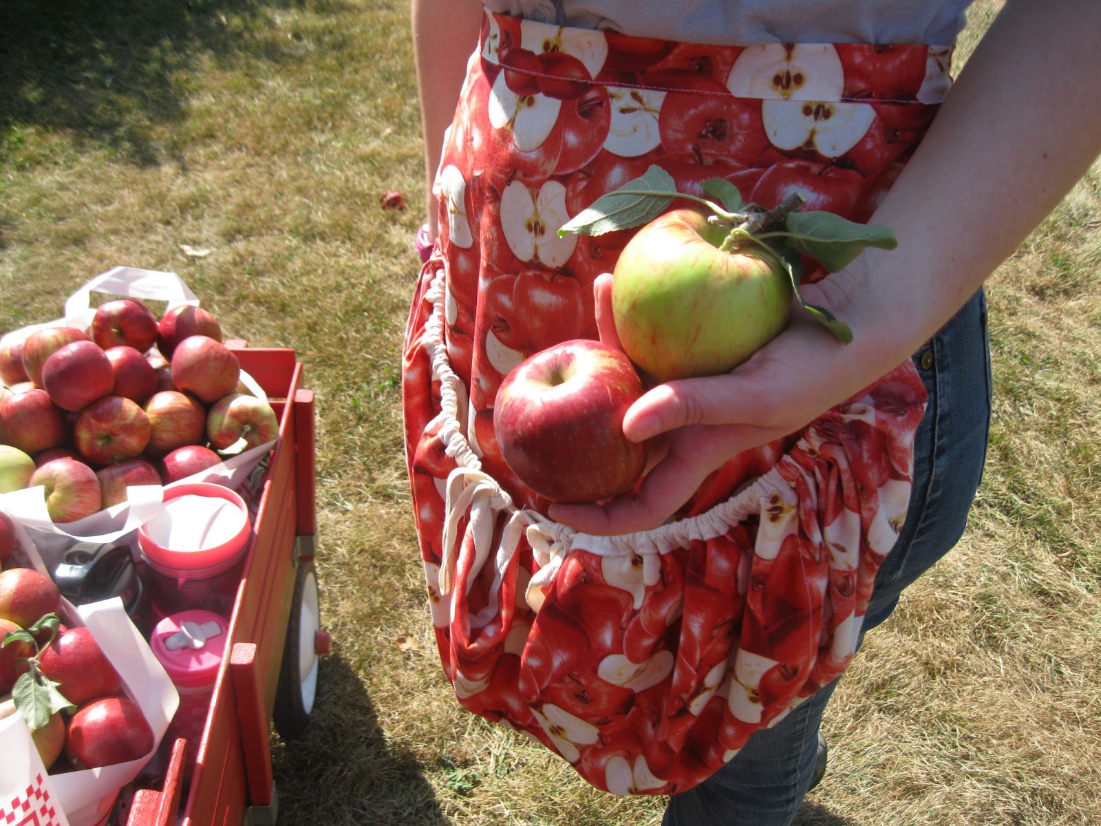 Apron History: Apple Picking Aprons