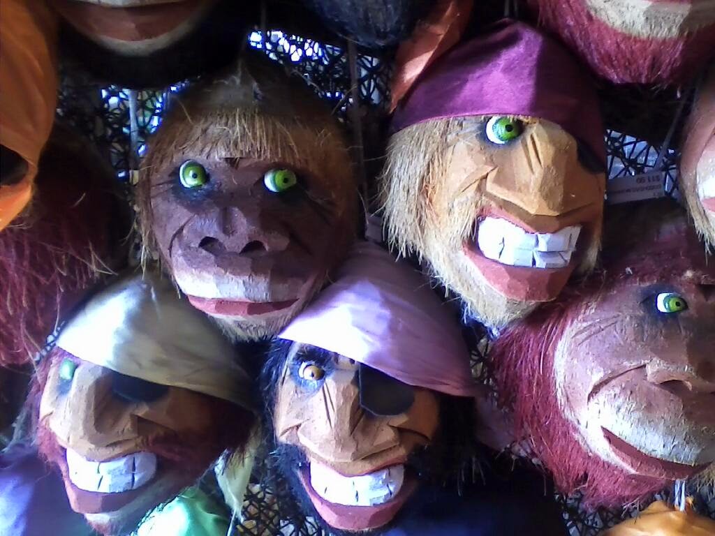 Report from the Florida Zone: Coconut Heads