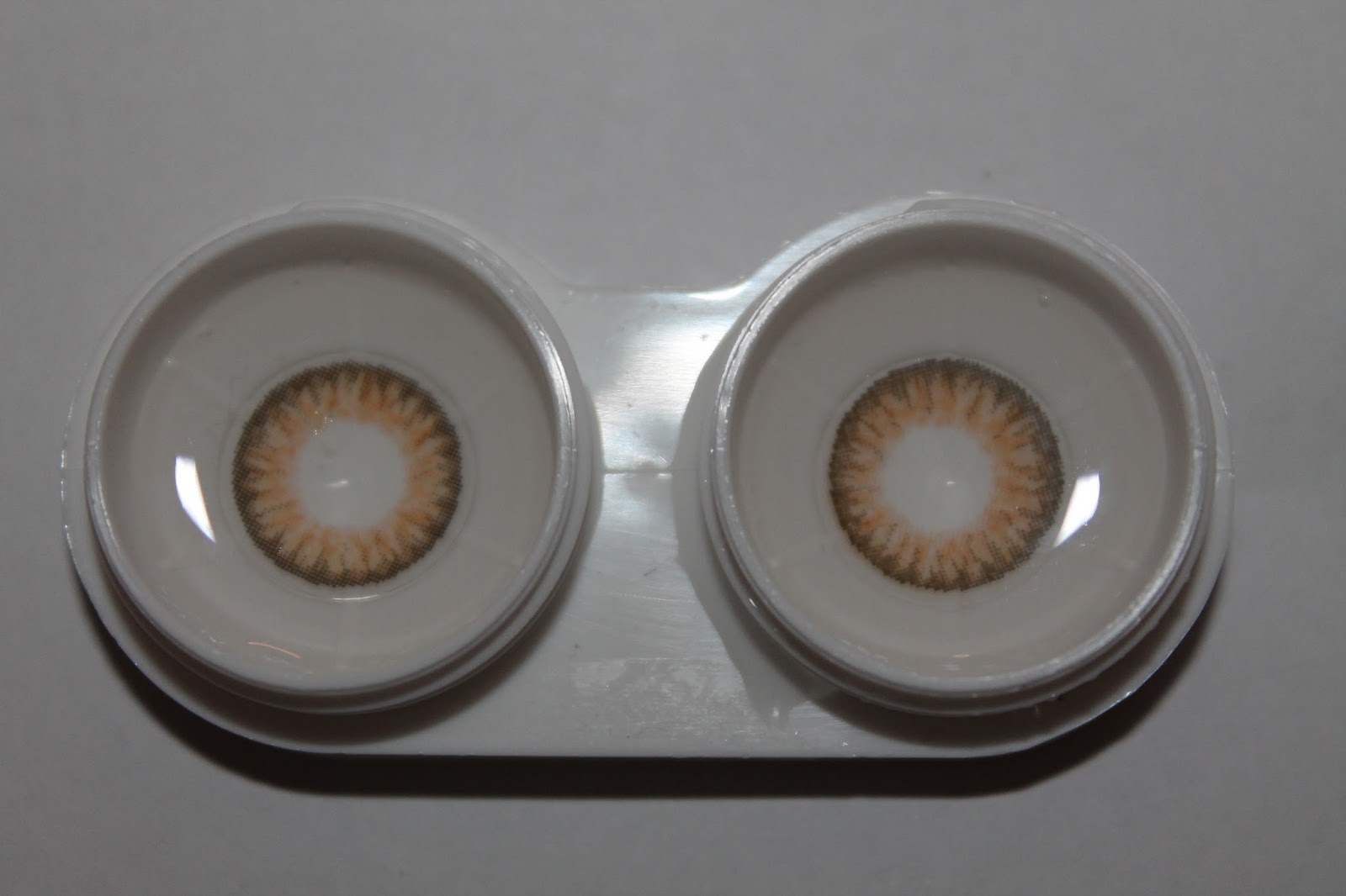 SOÑANDO EN TECNICOLOR: GEO TRI COLOR BROWN