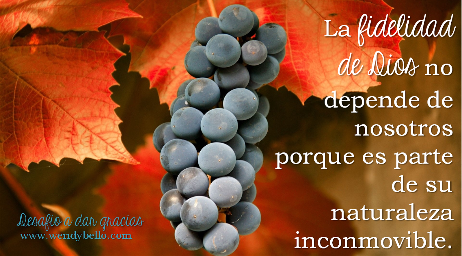 TARJETAS DE TODA CLASE: CELEBREMOS LA FIDELIDAD DE DIOS