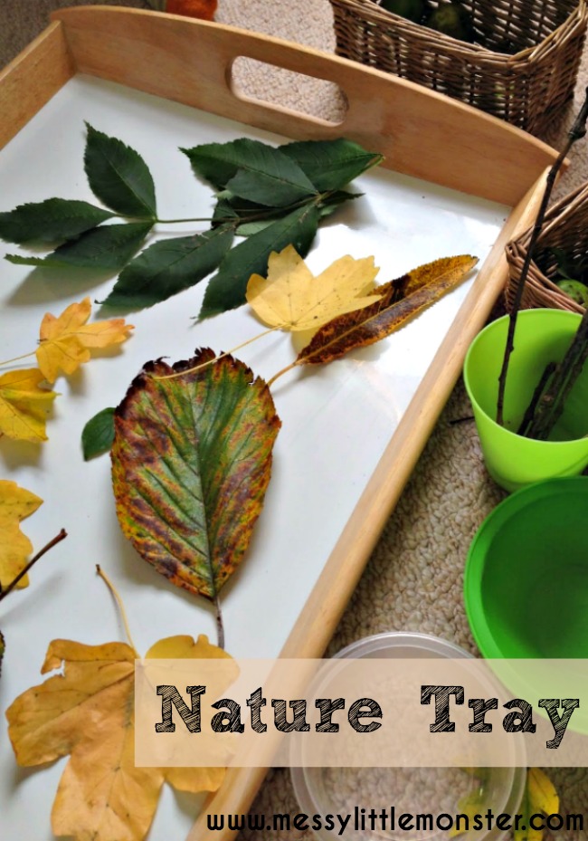 Autumn Nature Tray - Messy Little Monster