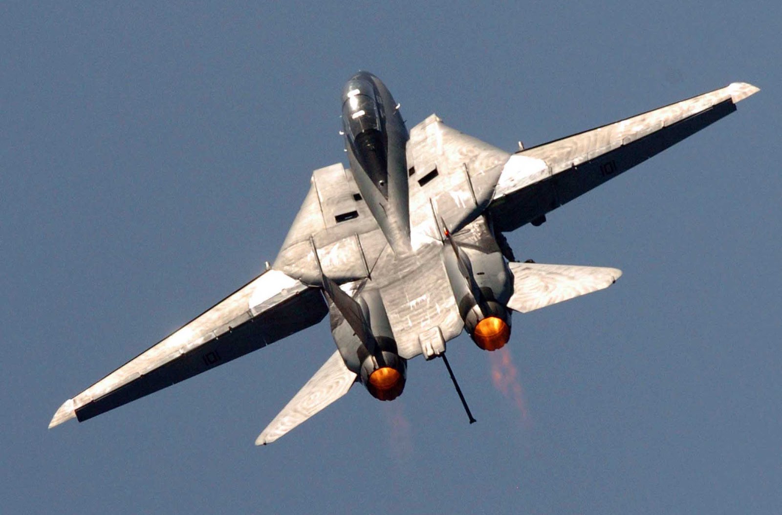 nhungdoicanh: Grumman F-14D Super Tomcat