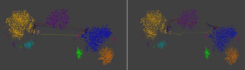 Visualizing High Dimensional Data: On Strip Overfitting of ...
