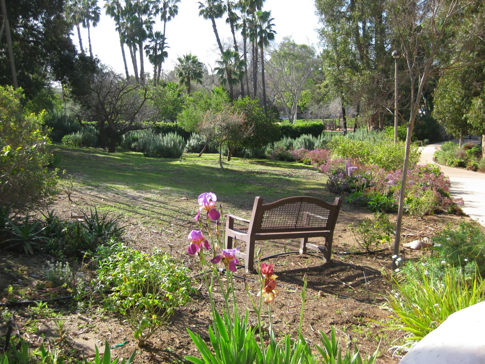 Travels With Marie: SANTA MARGARITA RANCH HOUSE AT CAMP PENDLETON